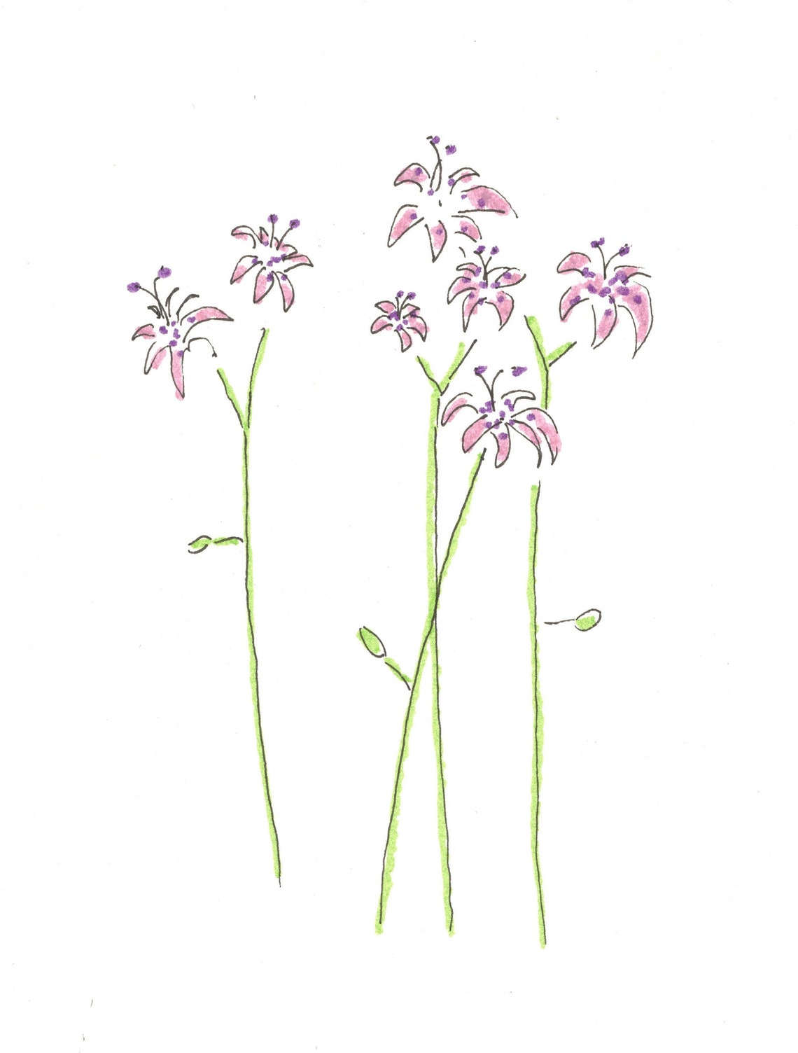 Hand Drawn Flower Cards Assorted - Etsy