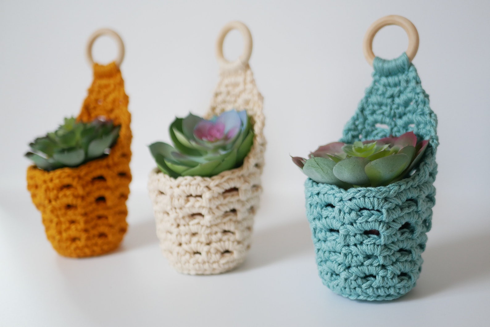 Tiny Plant Pod- Digital Crochet Pattern- PDF File Format - Etsy