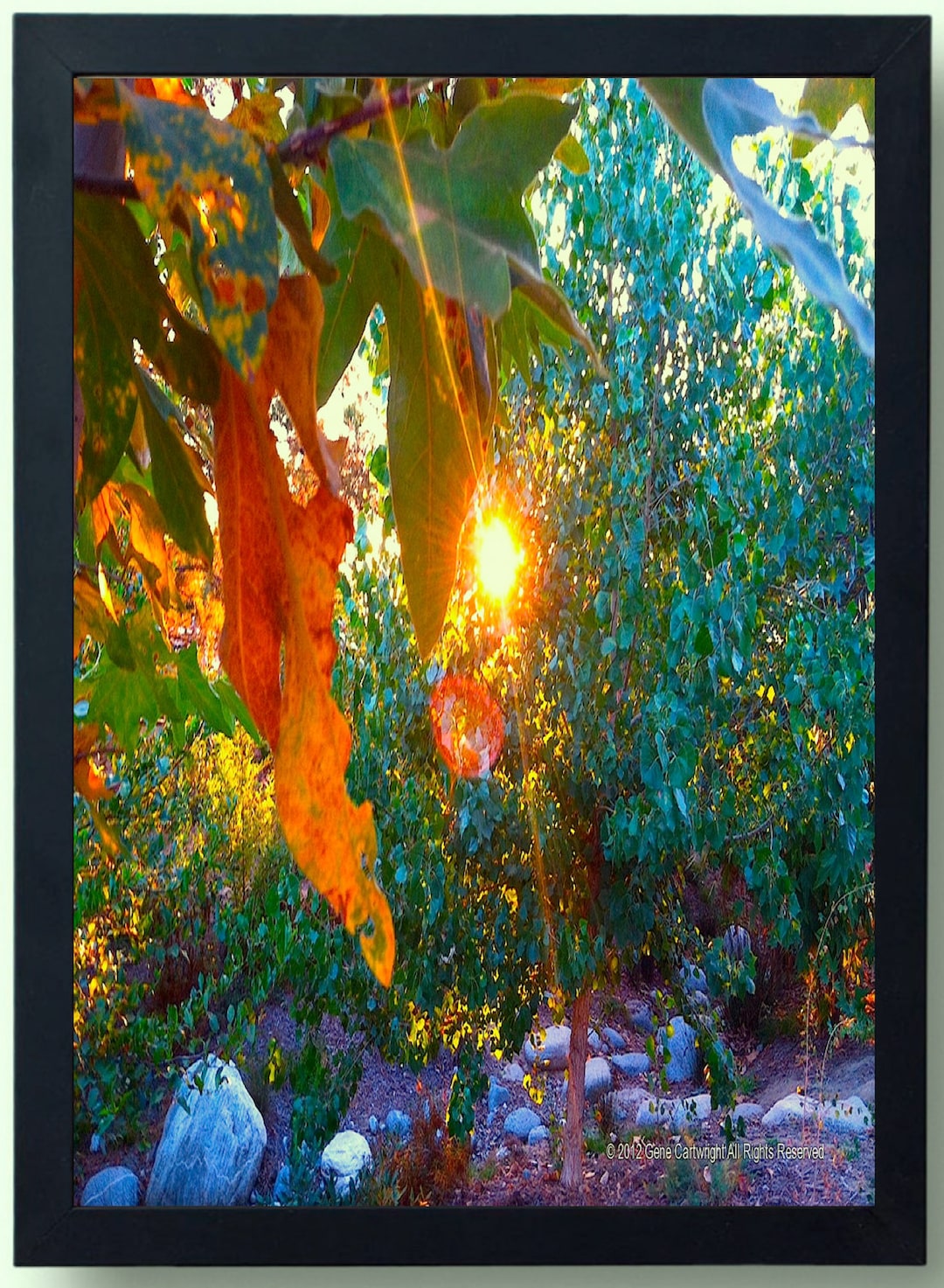 Garden of Eden Sunset - Photo Poster on Photographic Stock - Etsy