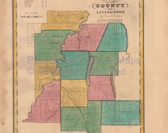 Livingston Ny Map - Etsy