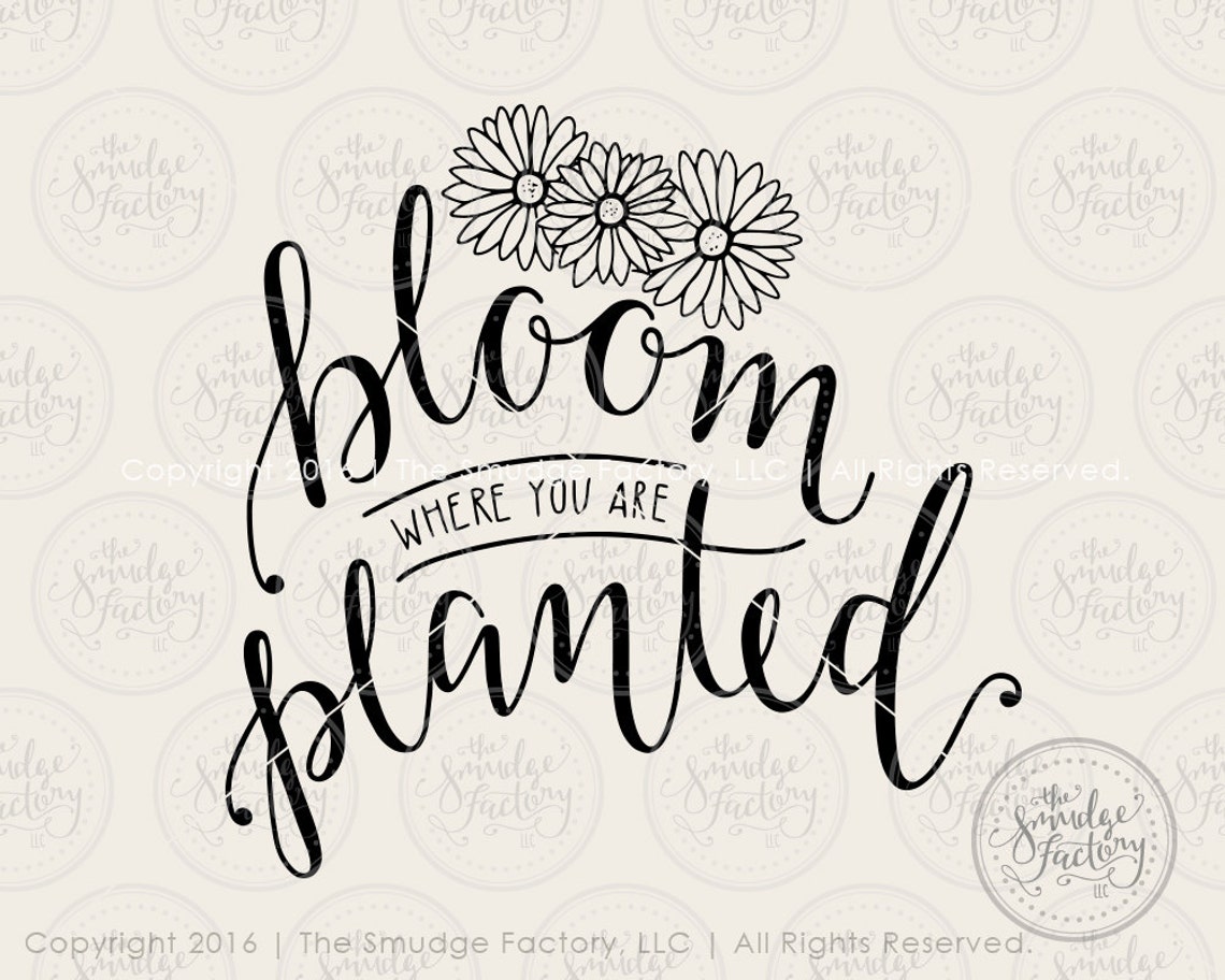 Spring Printable File Bloom Where You Are Planted Hand | Etsy