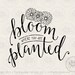 Spring Printable File, Bloom Where You Are Planted, Hand Lettered ...