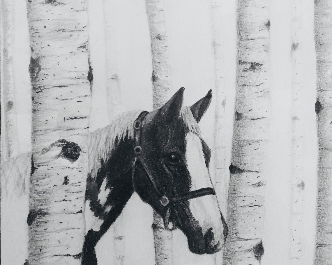 Print of Paint Horse in Birch Trees, Graphite Drawing, Pencil Drawing ...