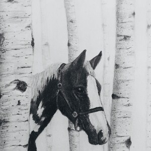 Print of Paint Horse in Birch Trees Graphite Drawing Pencil | Etsy