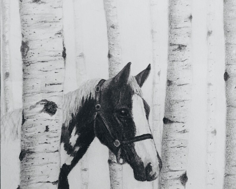 Print of Paint Horse in Birch Trees, Graphite Drawing, Pencil Drawing ...