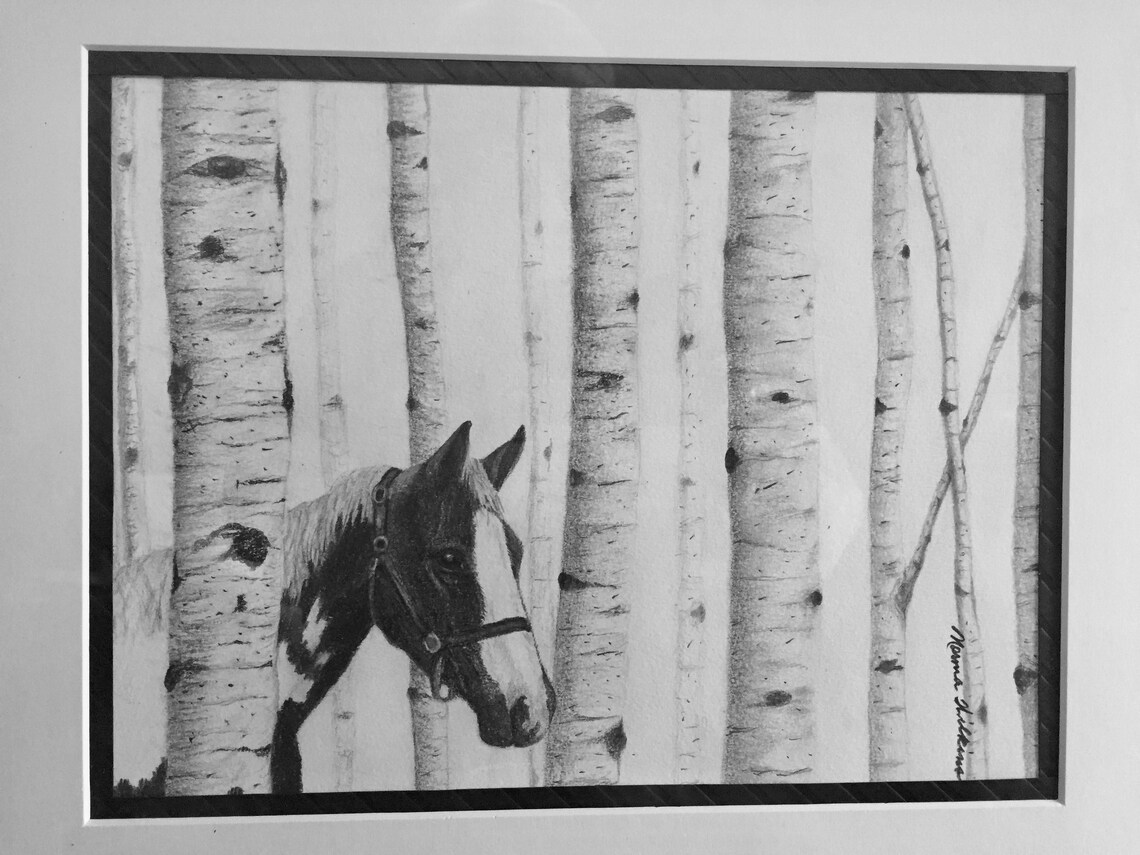 Print of Paint Horse in Birch Trees, Graphite Drawing, Pencil Drawing ...