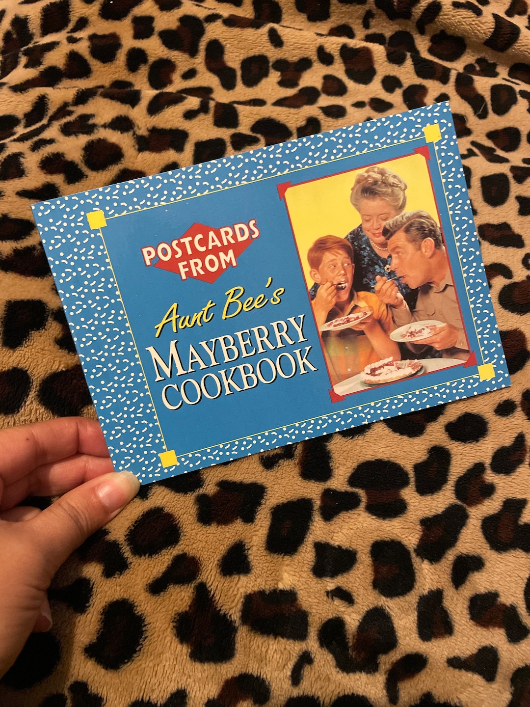 Postcards From Aunt Bees Mayberry Cookbook - Etsy