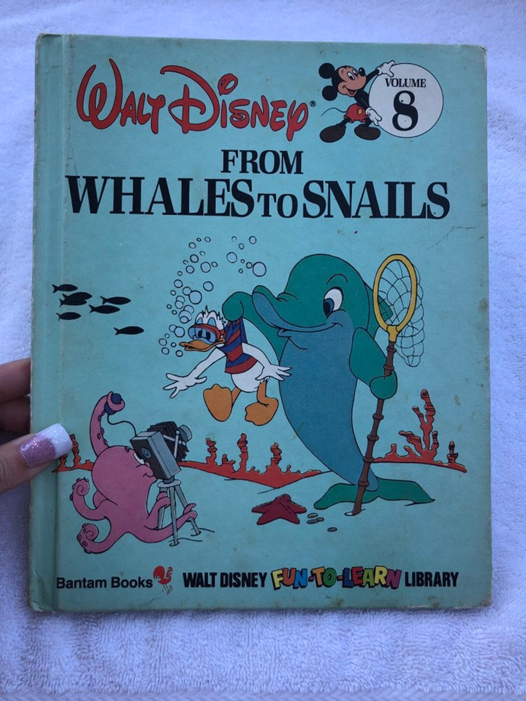 Walt Disney From Whales to Snails - Etsy