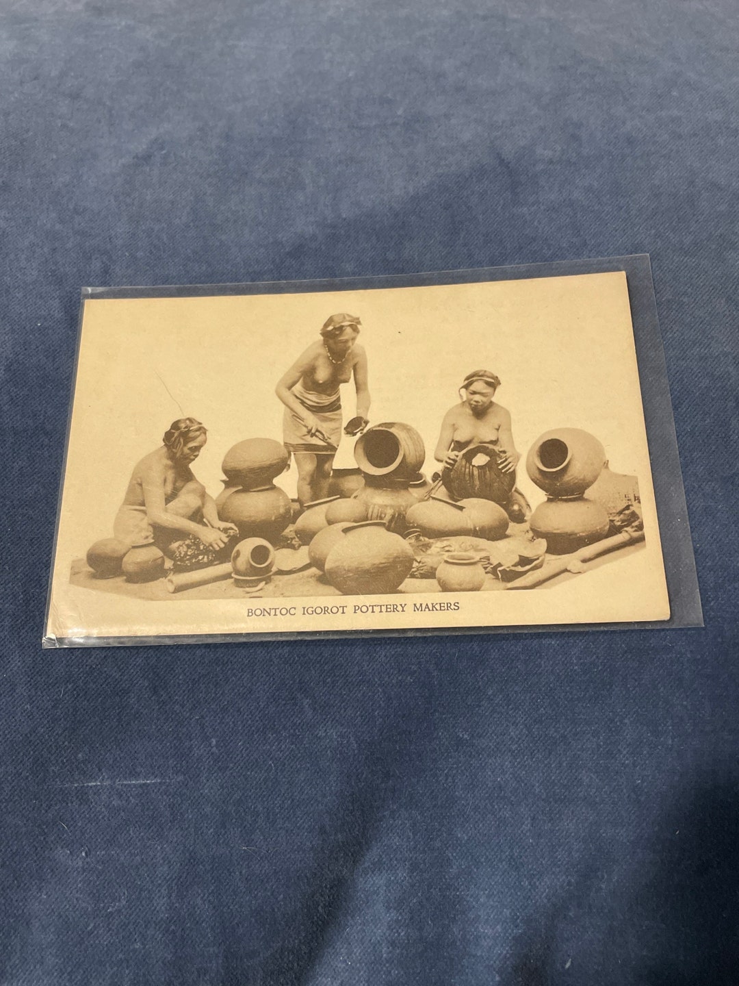 Vintage Field Museum of Natural History Postcard - Etsy