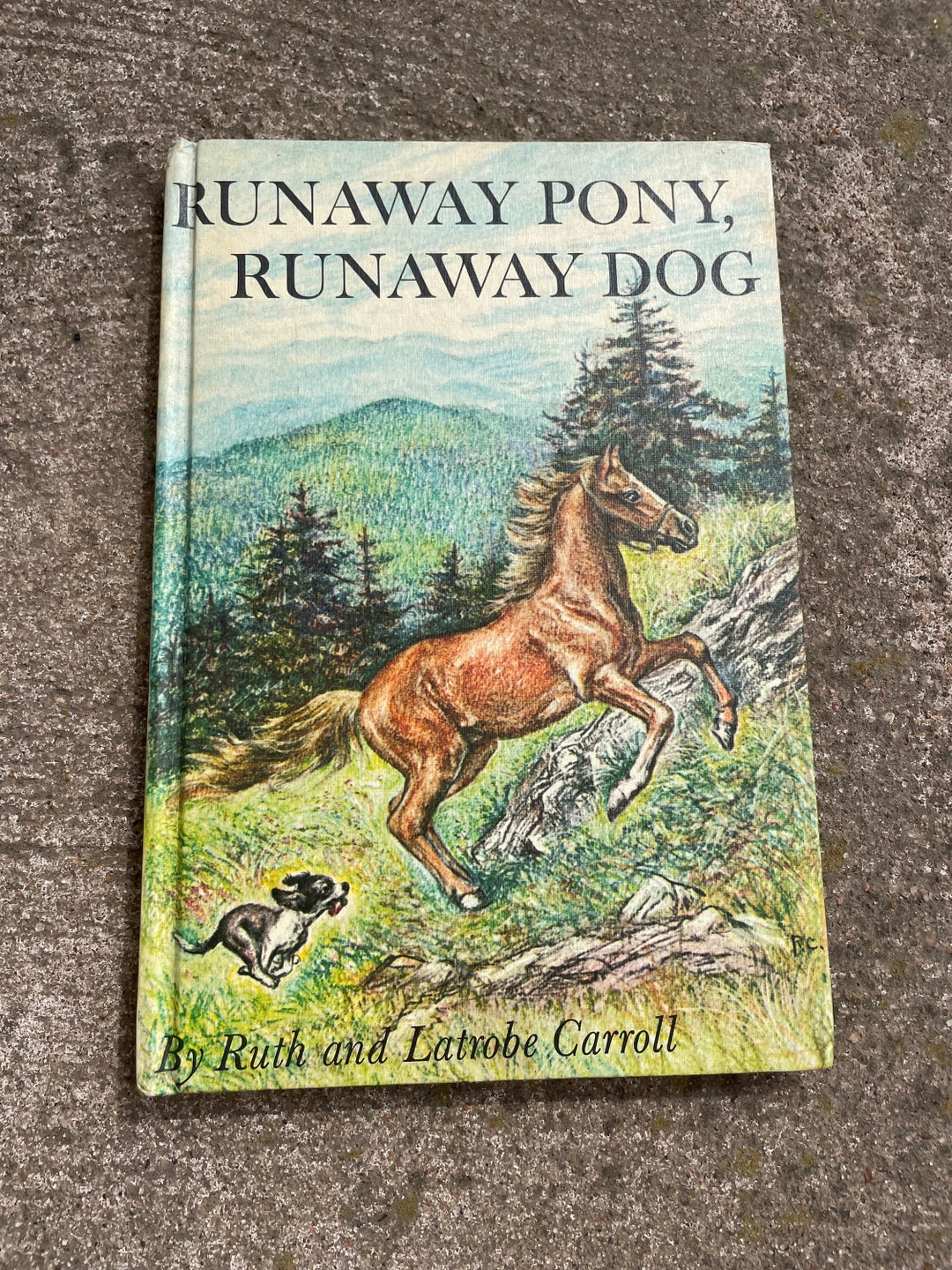 Runaway Pony, Runaway Dog Ruth and Latrobe Carroll - Etsy
