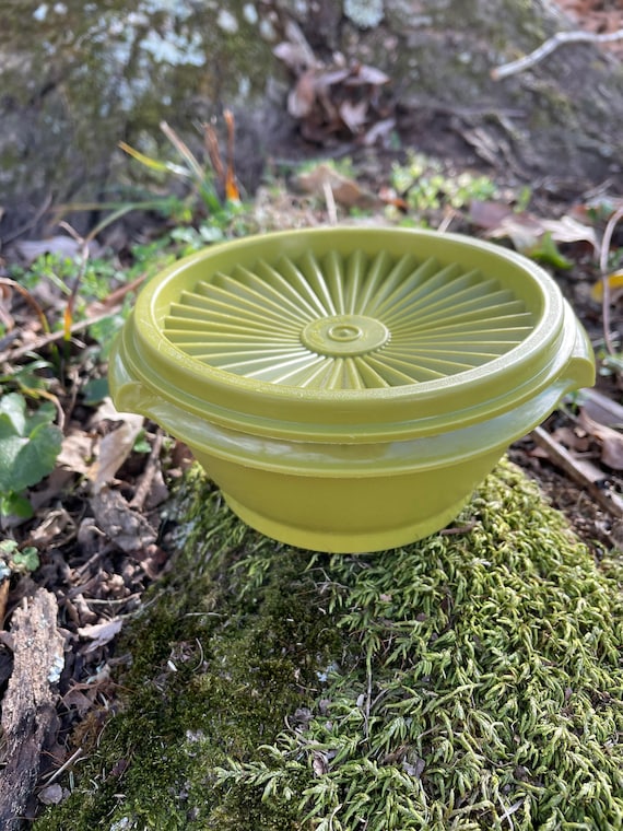 Avocado Green Tupperware With Lid - Etsy
