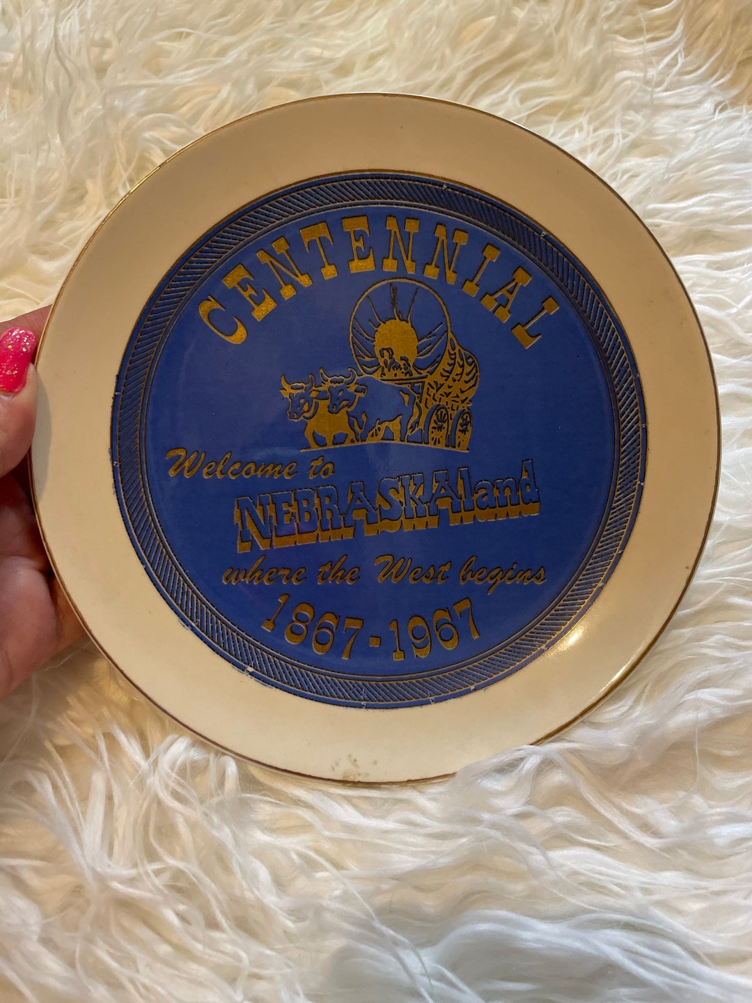 Centennial Nebraska Souvenir Plate - Etsy