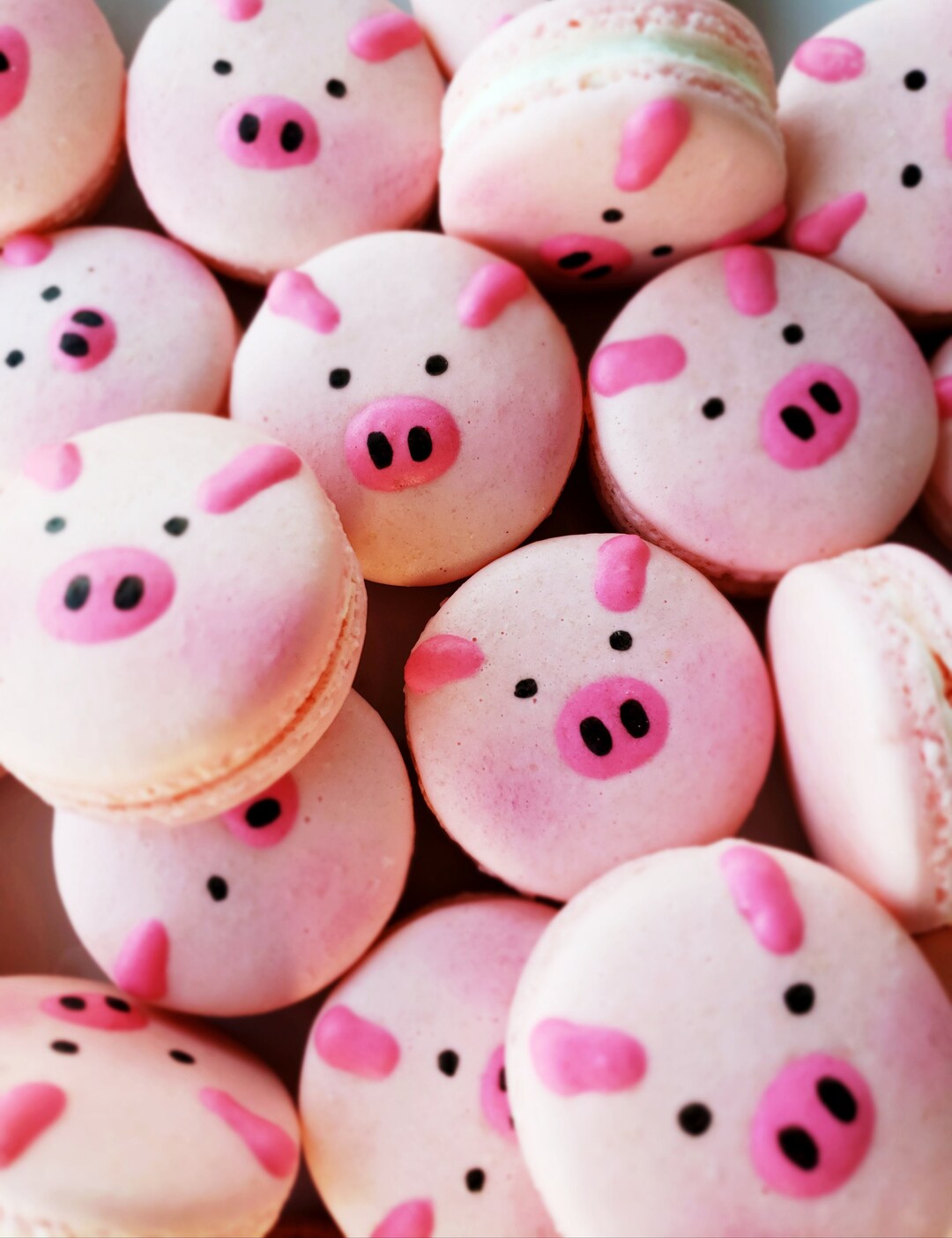 12 Cute Piggies French Macarons,birthday Party,piggy Dessert, Unicorn ...
