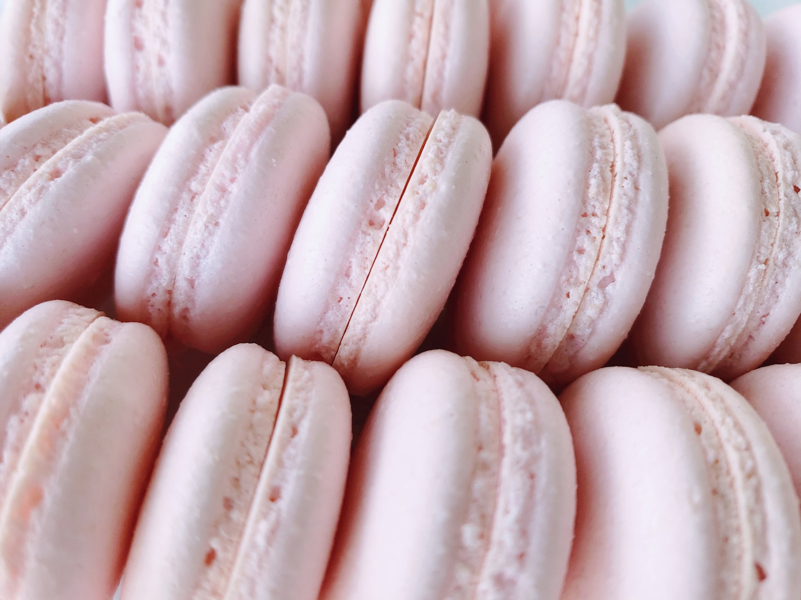 24 French Macaron Pink Champagne Shellsno Fillingfor 12 | Etsy