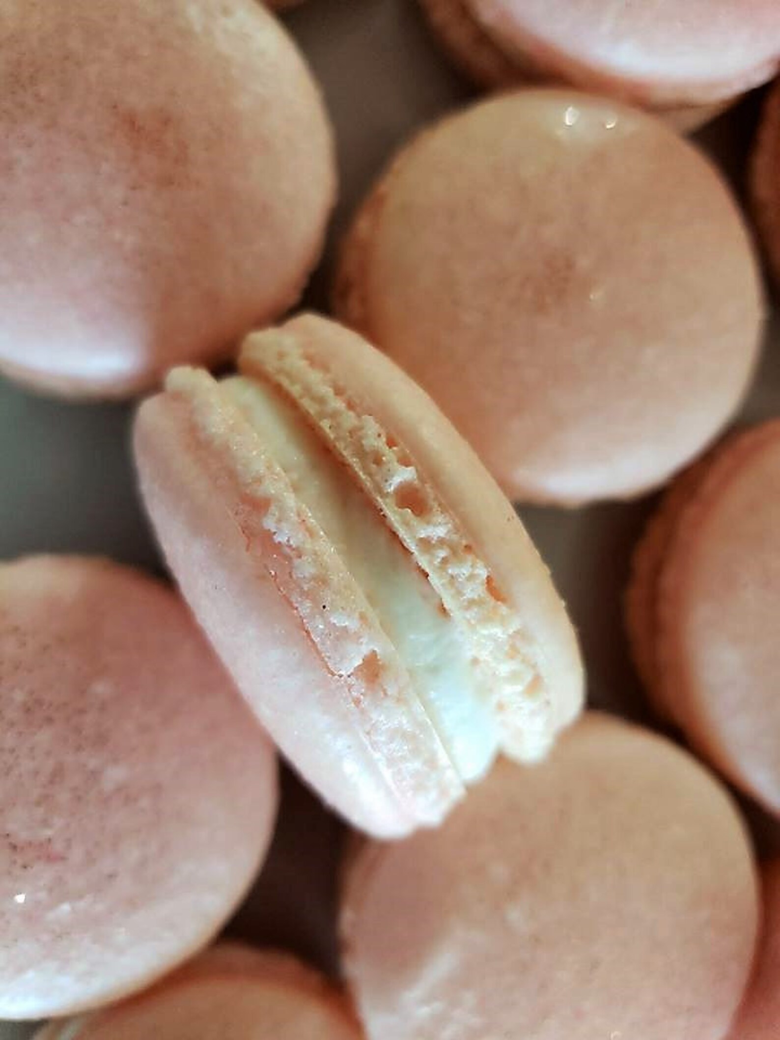 12 Pink Champagne Color Madagascar Bourbon Vanilla Macarons | Etsy