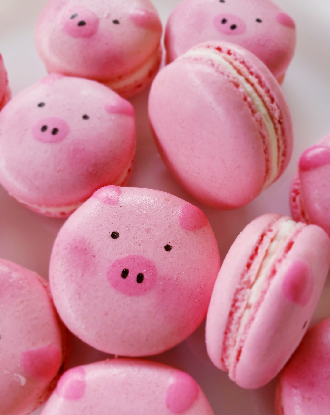 12 Cute Piggies French Macarons,birthday Party,piggy Dessert, Unicorn ...