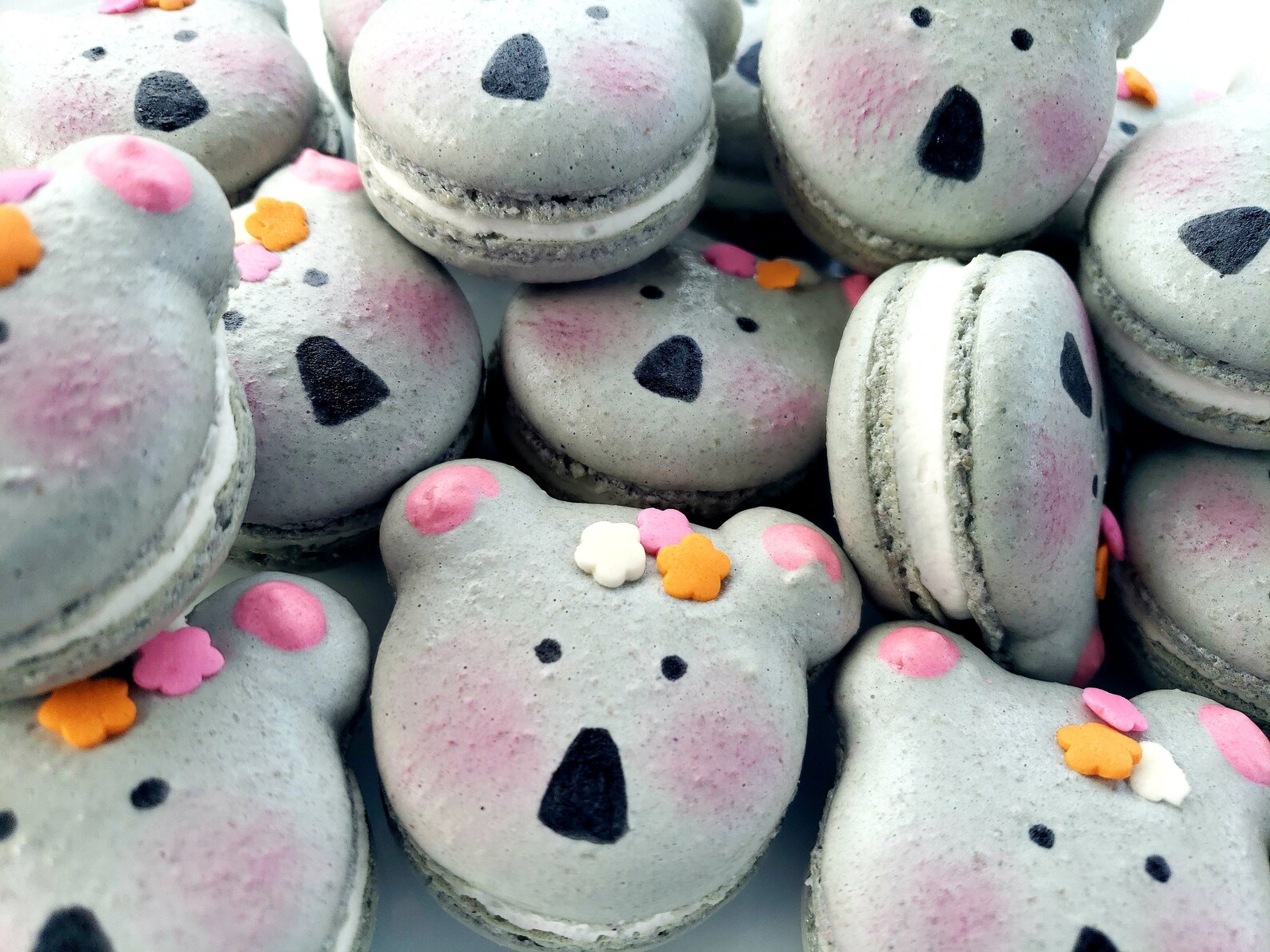 12 cute koala bear French macaronsgirly bear birthday | Etsy