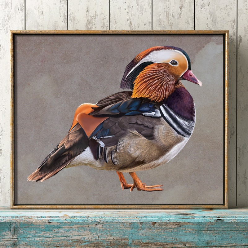 Mandarin Duck Art - Etsy