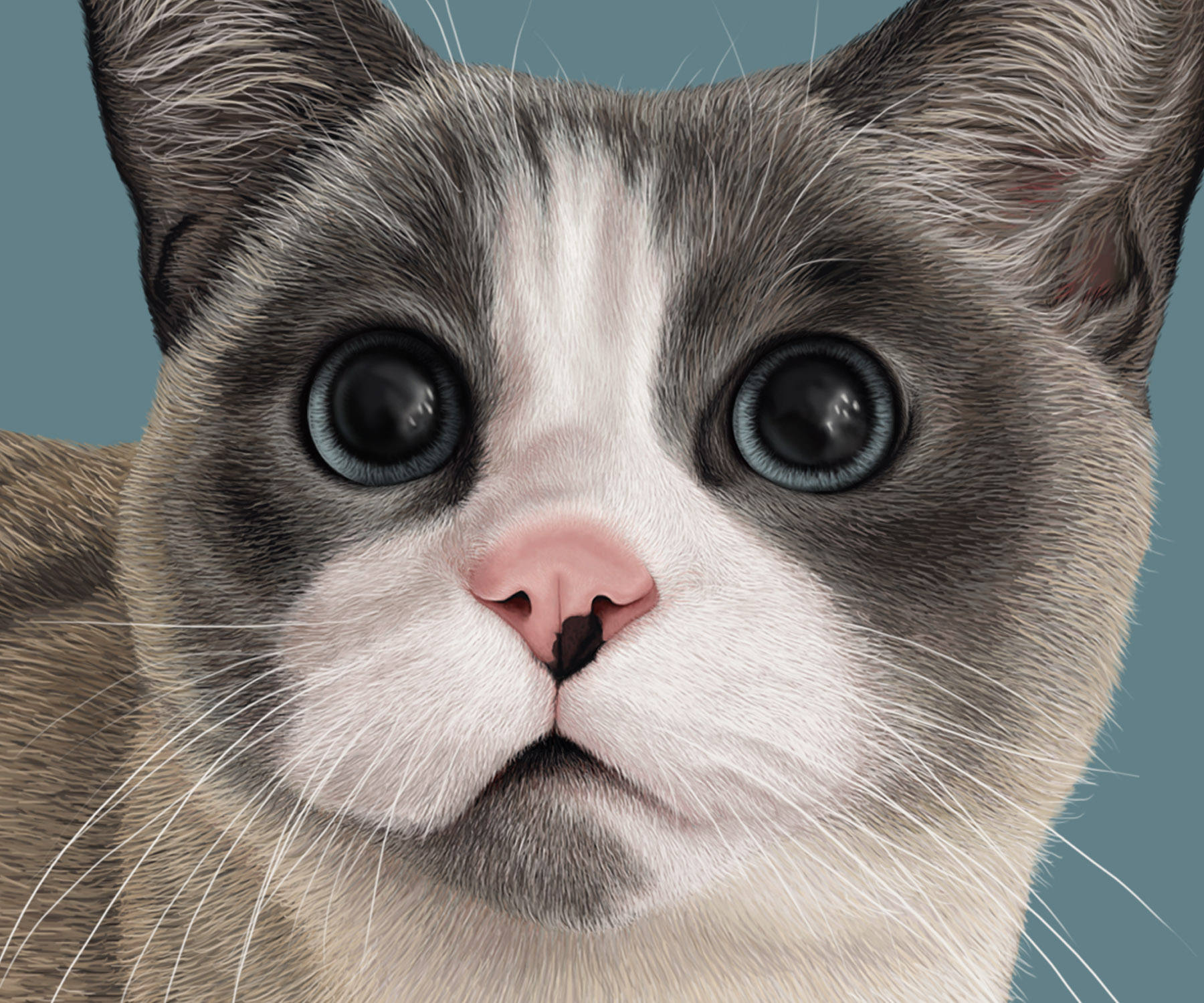 Custom Pet Portrait Realistic Cat Drawing Digital Print - Etsy