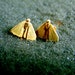 Beautiful 18k Gold Moth Stud Earrings-yellow Gold Moth Earrings-bug ...