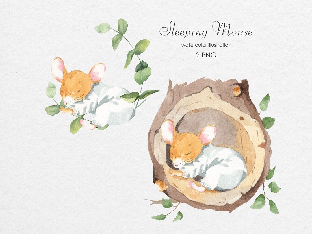 Watercolor Sleeping Mouse PNG Illustrations Cute Little Woodland ...
