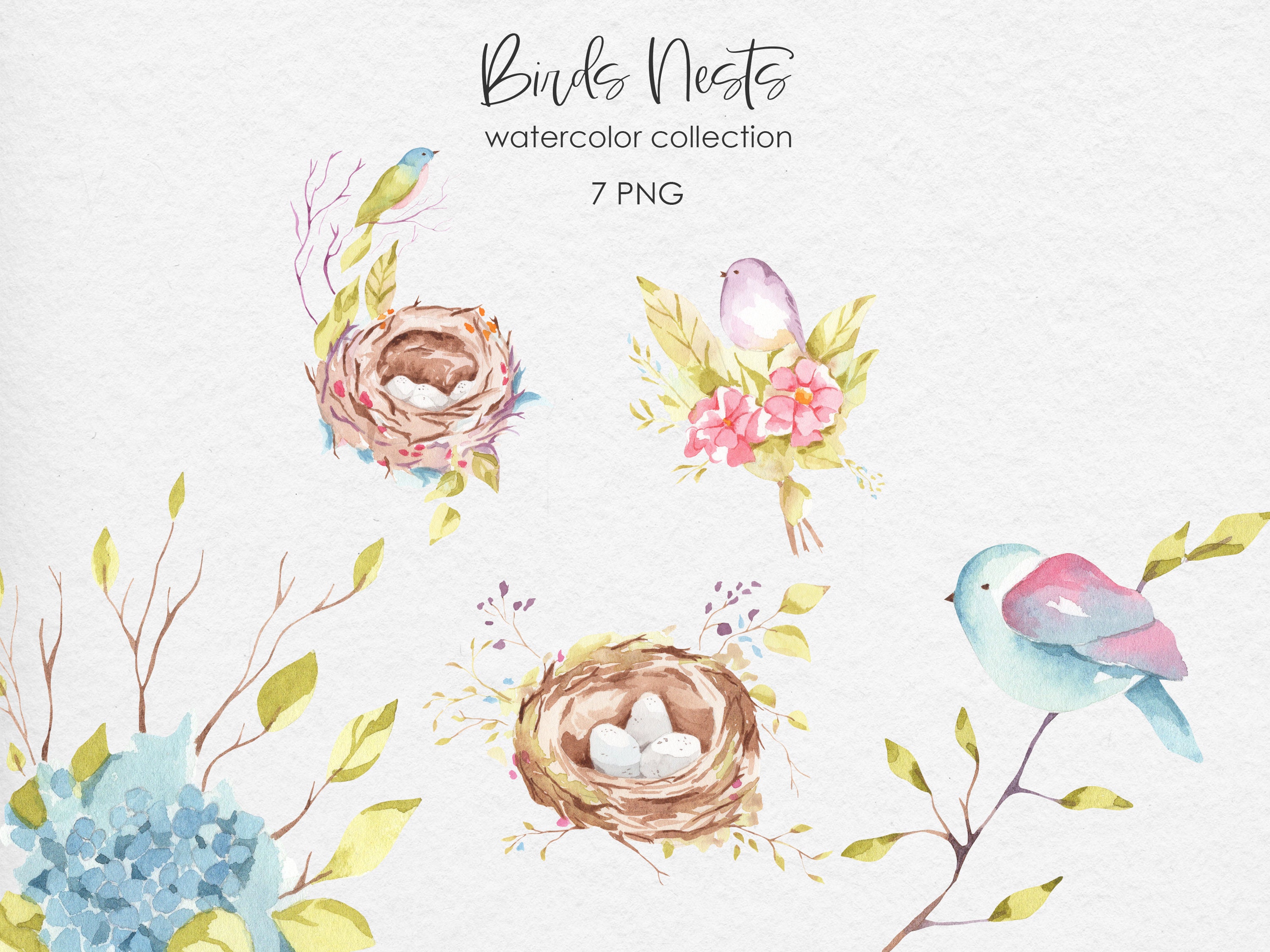 Watercolor Birds Nests Clipart Flowers Branch Floral Spring House ...