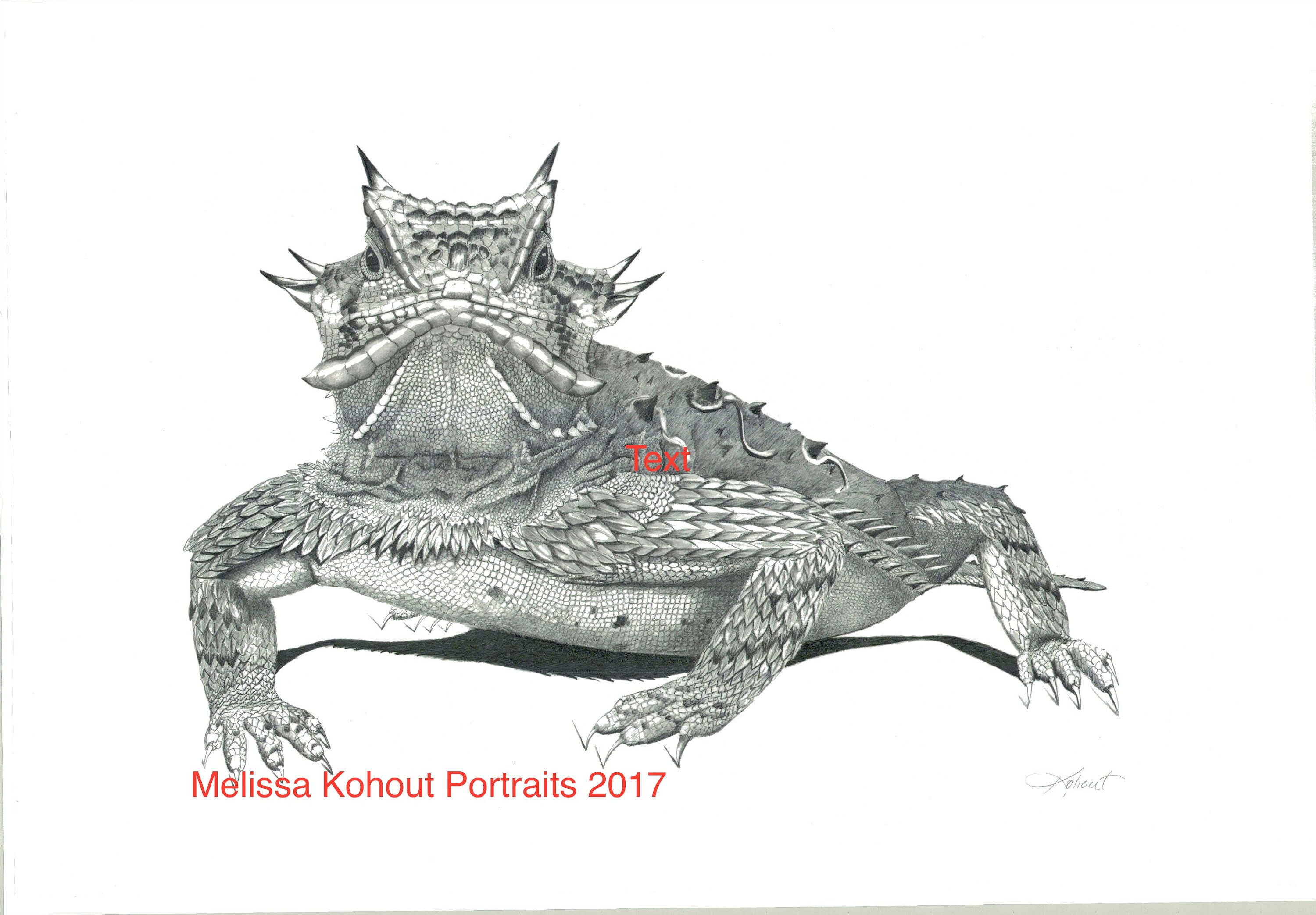 Spit Blood! 11x14 Limited Edition Version of Our Latest Frog Prints! - Etsy