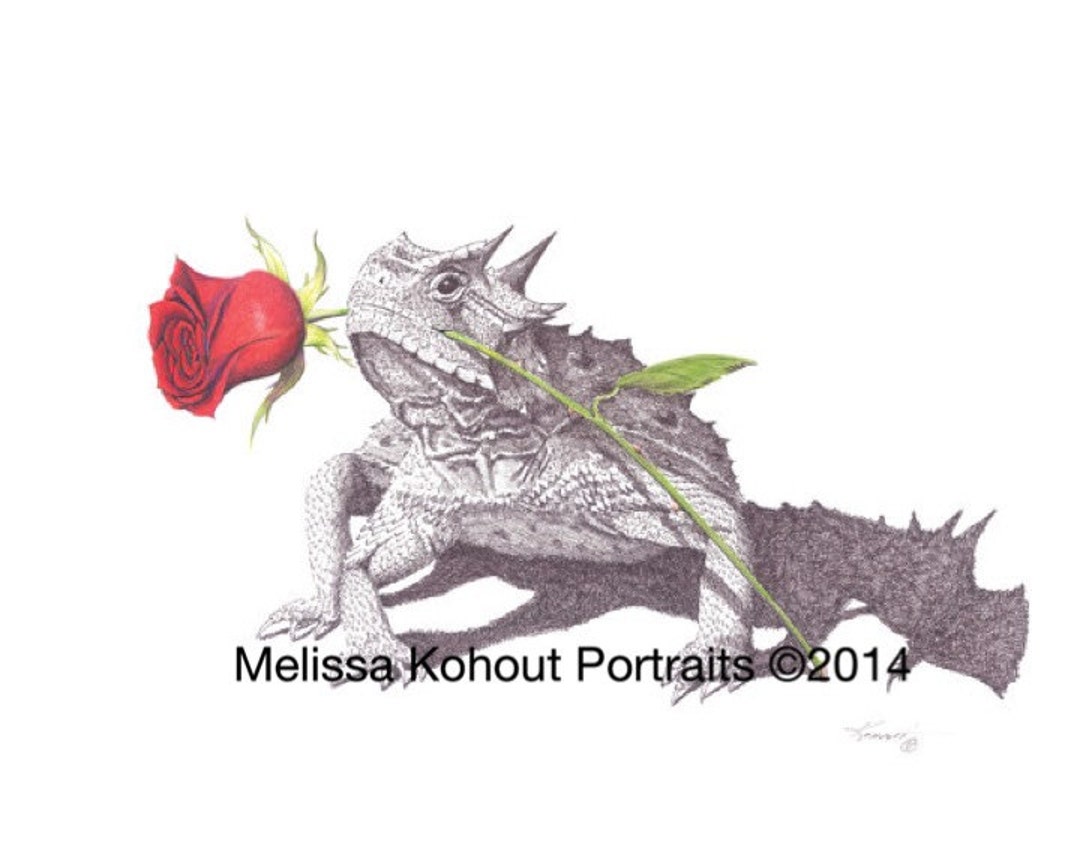 TCU Hornfrog Art Fans! "the Prize," 8x10 and 11x14 Prints, Great Gift ...