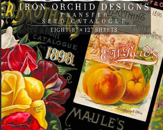 Iron Orchid Designs Seed Catalogue Transfer 8x12” - Etsy