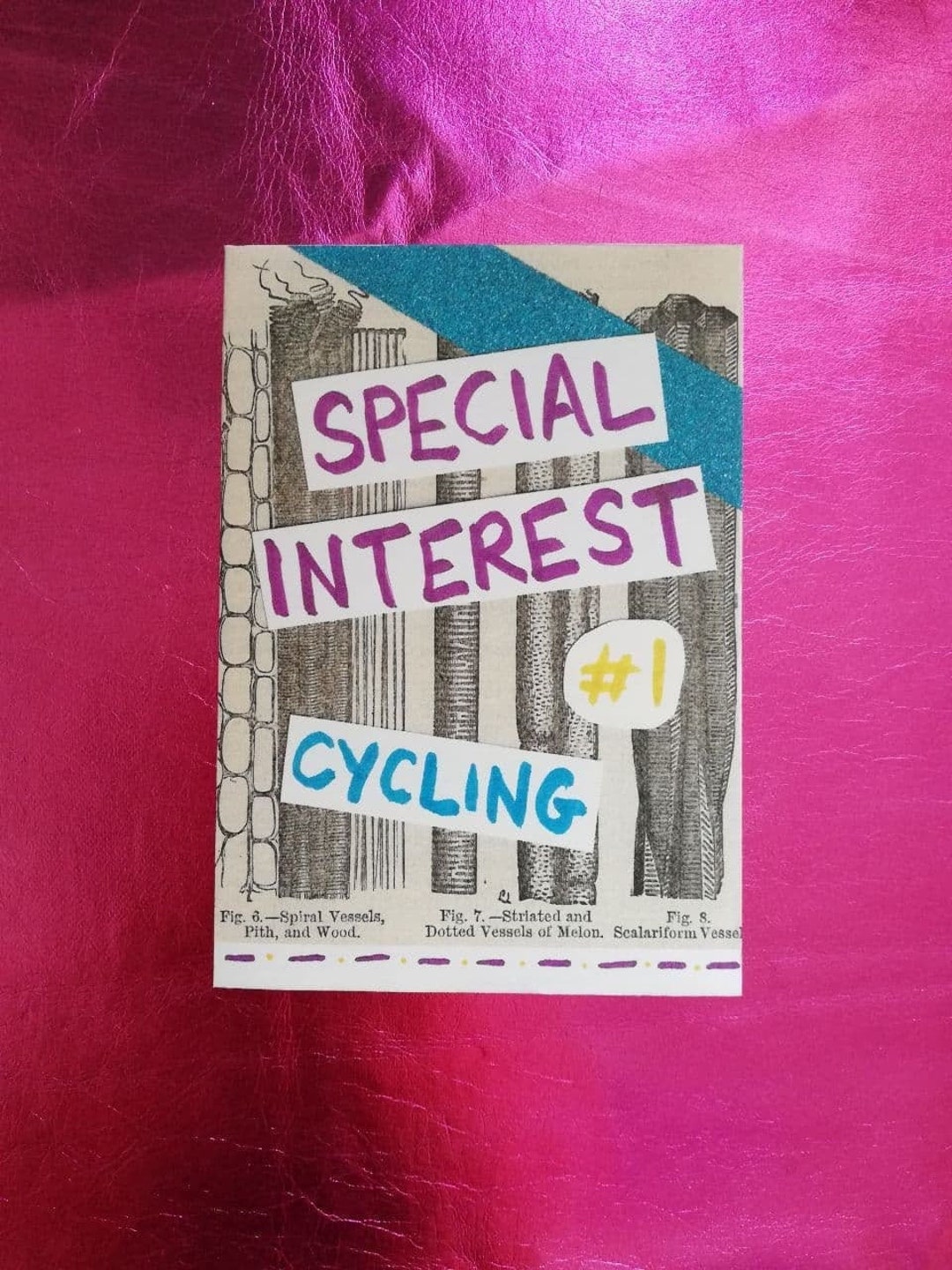 Special Interest 1: Cycling a Mini-zine About Learning to Ride a Bike ...
