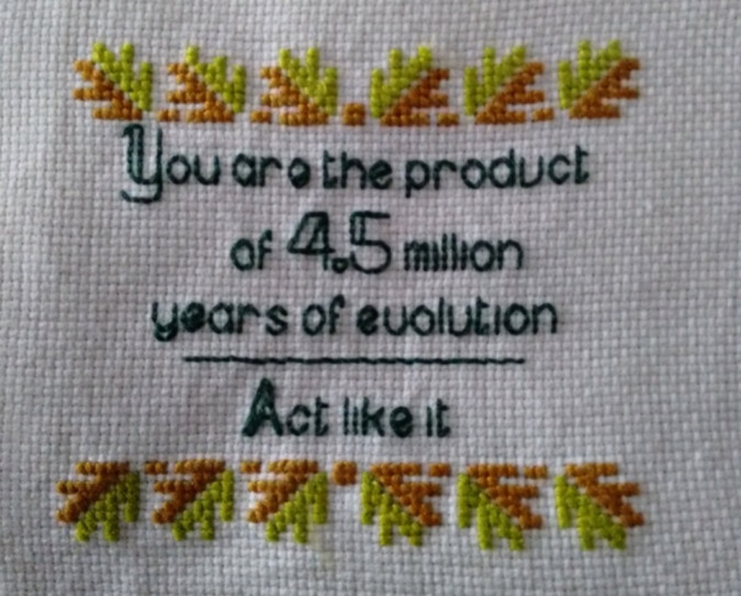 Evolution Beginner Cross Stitch Pattern - Etsy