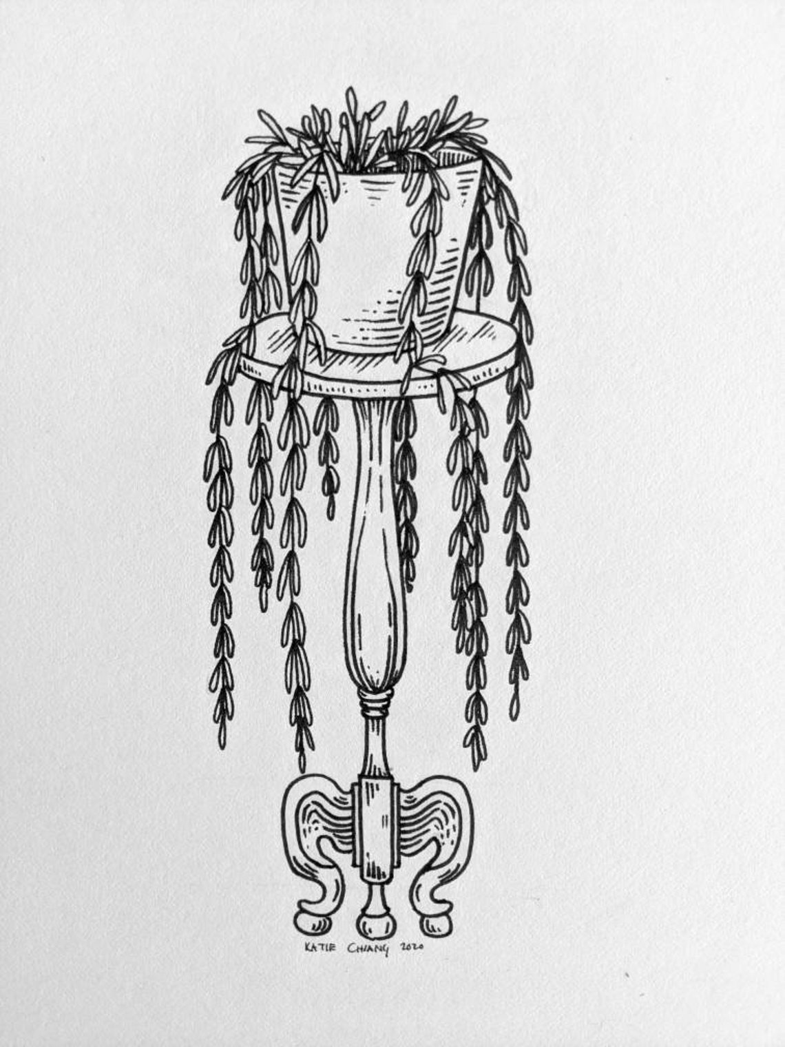 Original Artwork Hoya Linearis Drawing Hoya Artwork - Etsy