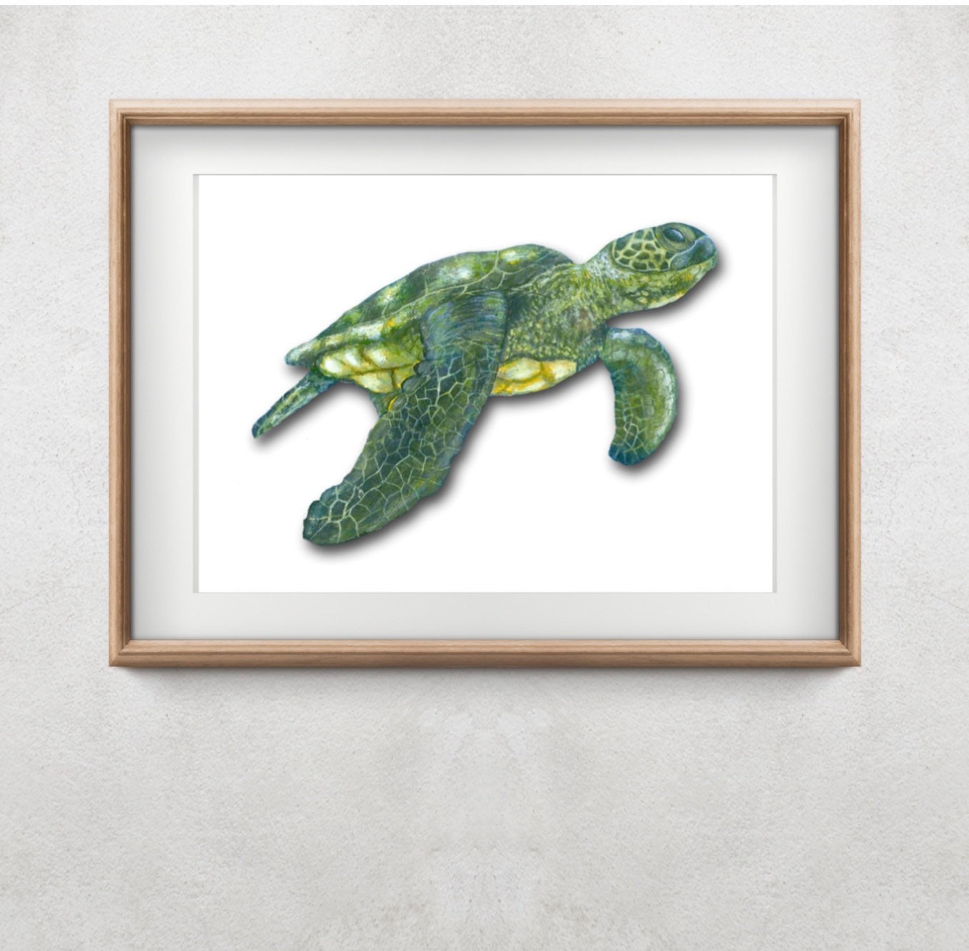 Sea Turtle Art 8x10 Turtle Art Unframed Sea Turtle Wall - Etsy