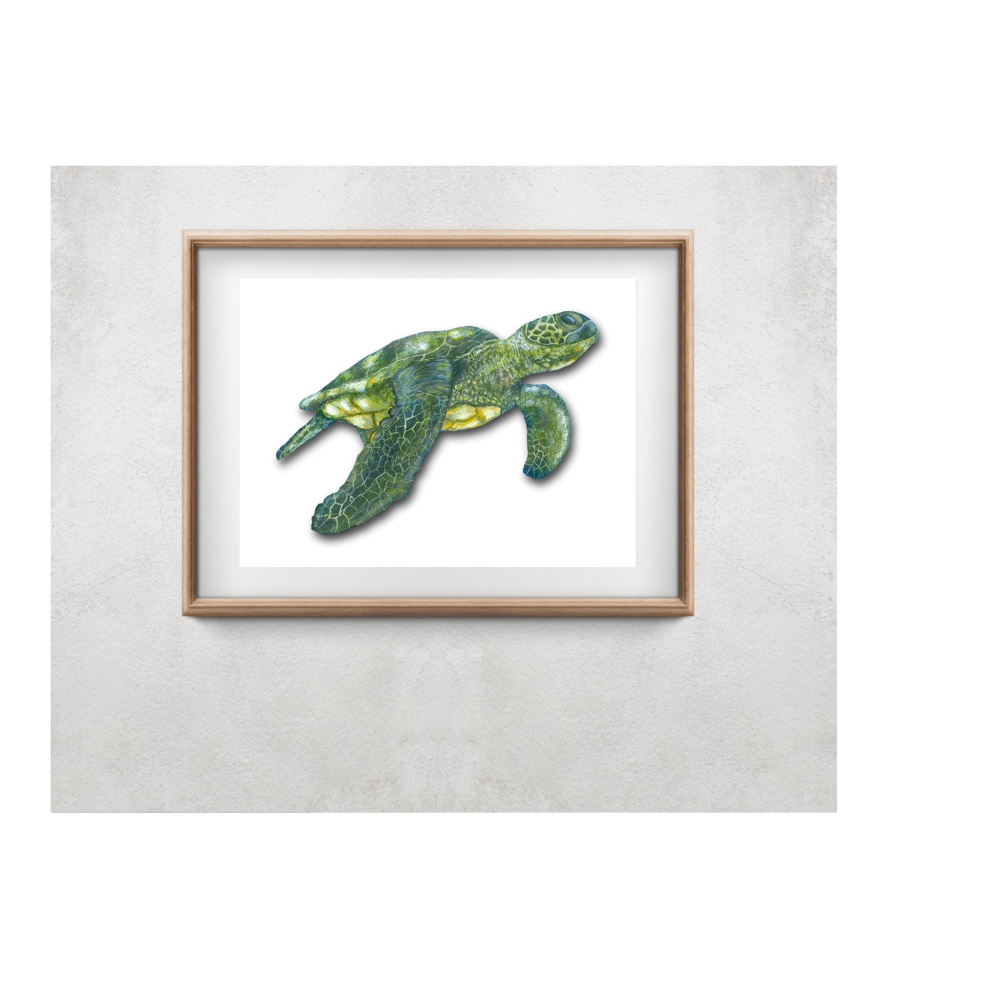Sea Turtle Art 8x10 Turtle Art Unframed Sea Turtle Wall | Etsy