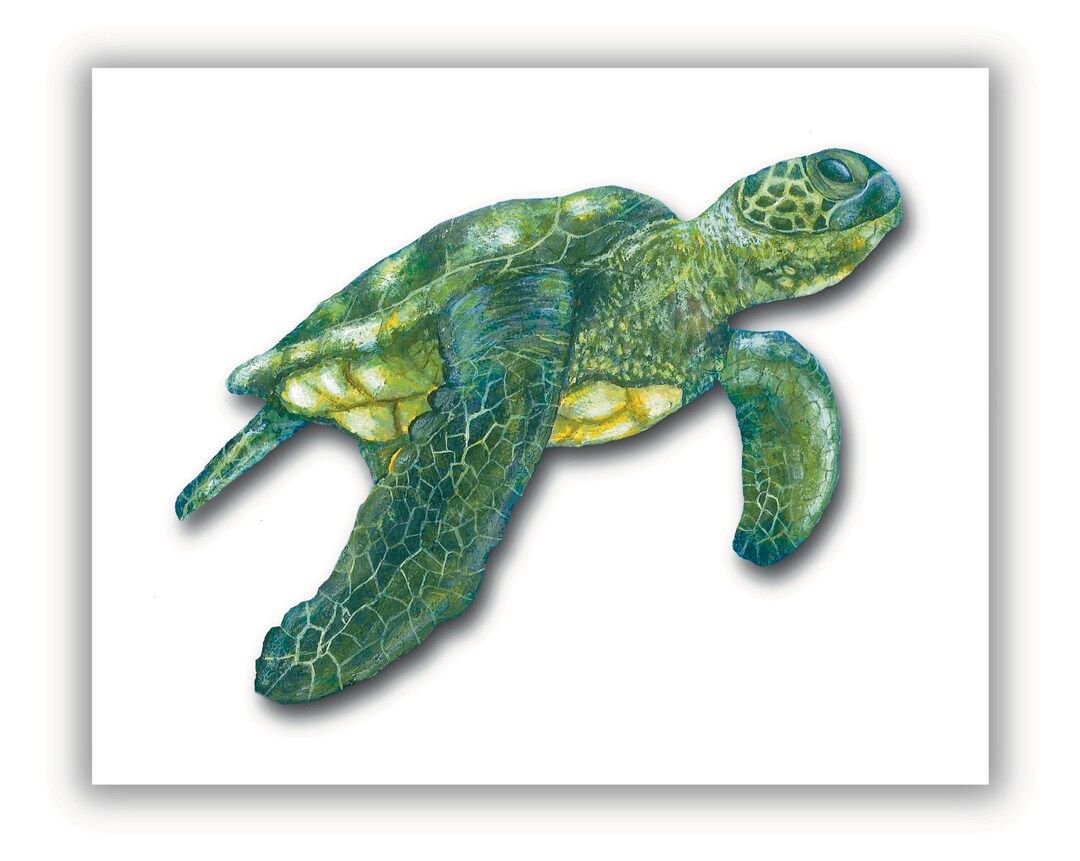 Sea Turtle Art 8x10 Turtle Art Unframed Sea Turtle Wall - Etsy