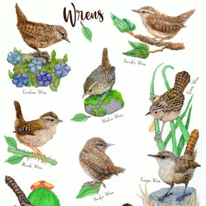 Watercolor Wrens Printable Bird Art to Download Planner Collage Sheet ...