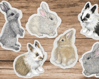 Bunny Rabbit Sticker - Etsy