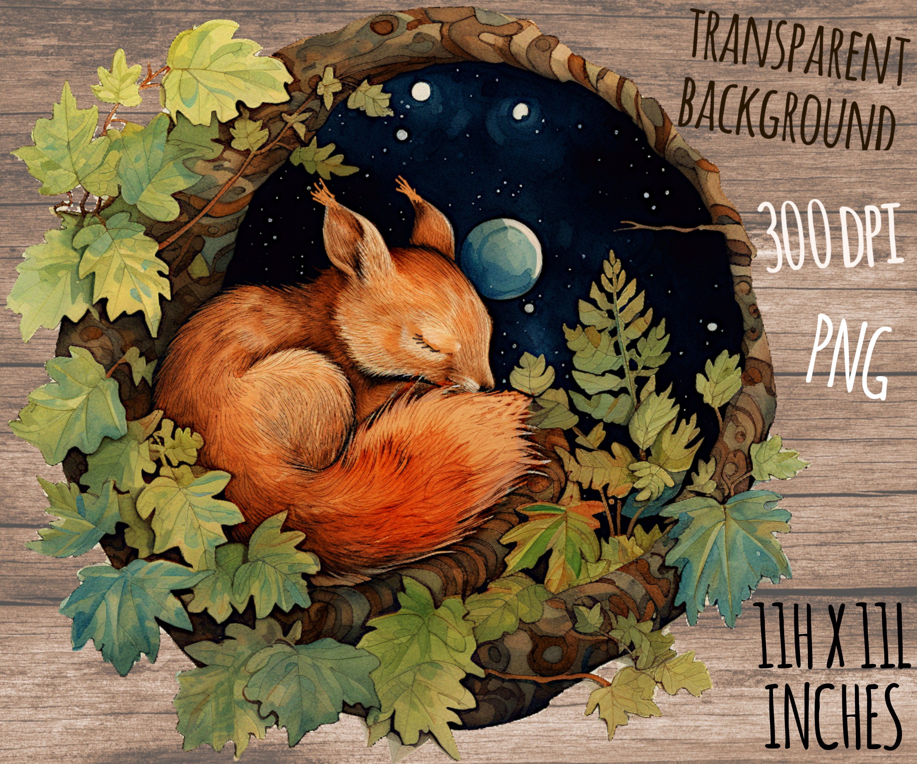 Red Squirrel Sleeping Under the Moon and Stars Digital Illustration ...