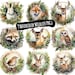 Watercolor Wildlife Clip Art Bundle: Set of 9 Animal Pngs 8x8 Inches in ...