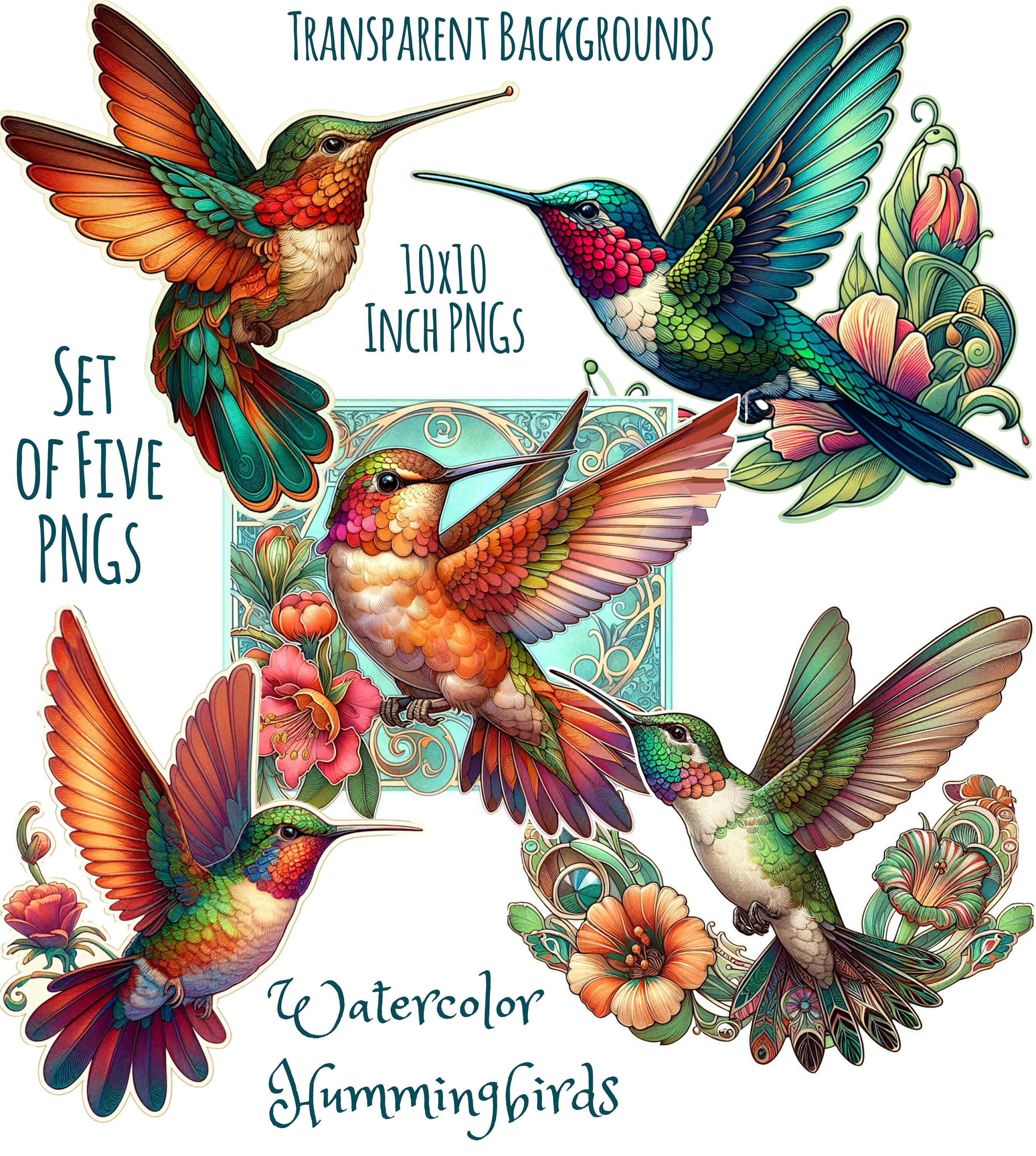 Watercolor Hummingbird Pngs Printable Hummingbirds Set of 5 10x10 Inch ...