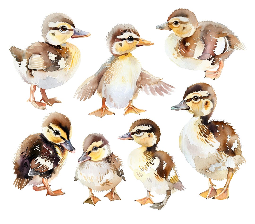 Ducklings Printables Watercolor Baby Ducks Splashing in Puddles PDF and ...