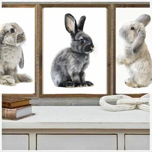 Bunny Rabbit Pngs Set of 4 Cute Bunny Prints Hi-res 4100 Pixels ...