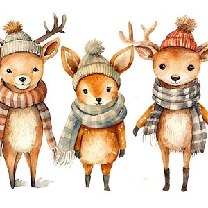 Woodland Animal Friends Wearing Scarves Set of 8 Watercolor Clip Art ...