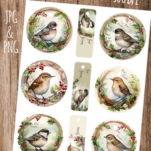 Watercolor Bird Wreath Printables Bundle Six 8x8 Inch Circular Bird ...