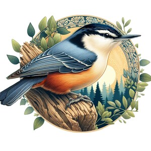 Nuthatch Bird Pngs Set of Two Nuthatch Designs Sub Art Bird Printable ...
