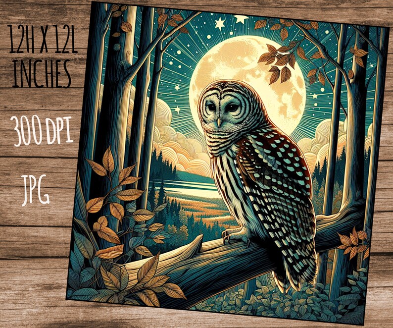 Forest Owl Nature Print Woodland Barred Owl in Moonlight Digital ...