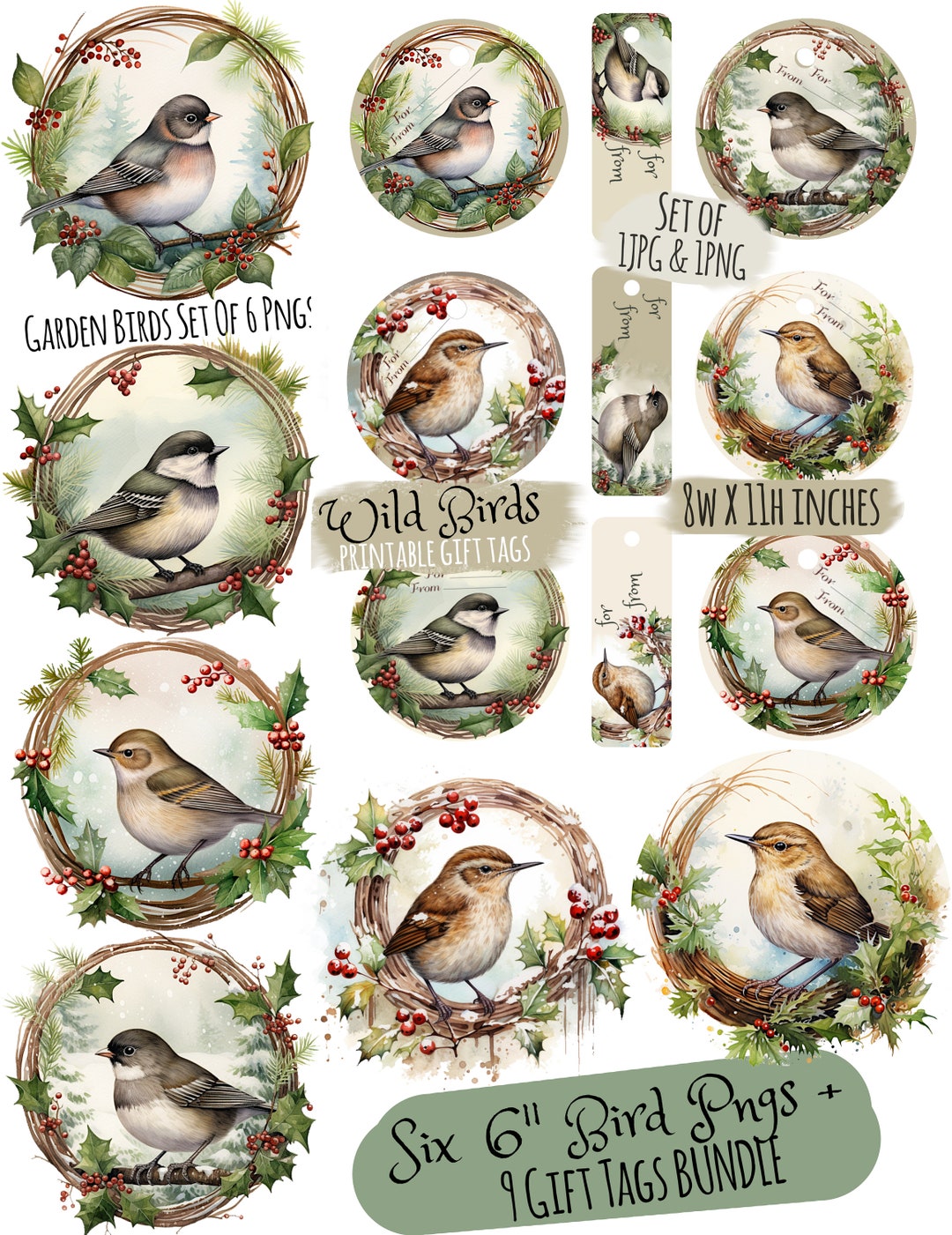 Watercolor Bird Wreath Printables Bundle Six 8x8 Inch Circular Bird ...