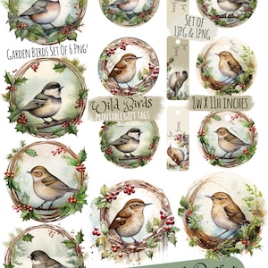 Watercolor Bird Wreath Printables Bundle Six 8x8 Inch Circular Bird ...
