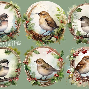 Watercolor Bird Wreath Printables Bundle Six 8x8 Inch Circular Bird ...