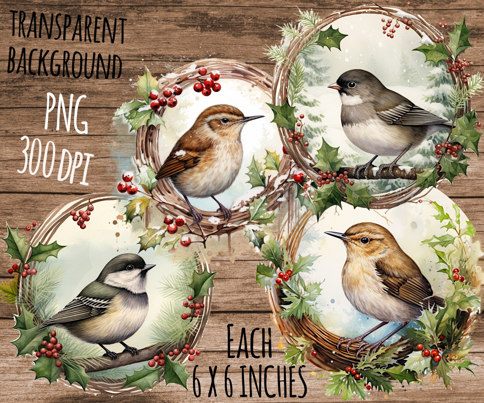 Watercolor Bird Wreath Printables Bundle Six 8x8 Inch Circular Bird ...